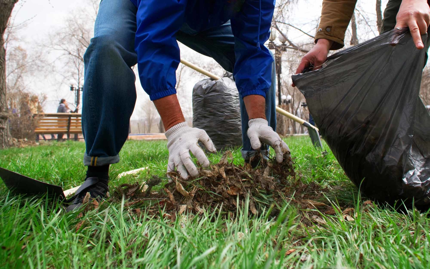 Professional Site Maintenance | Varsity Inc.