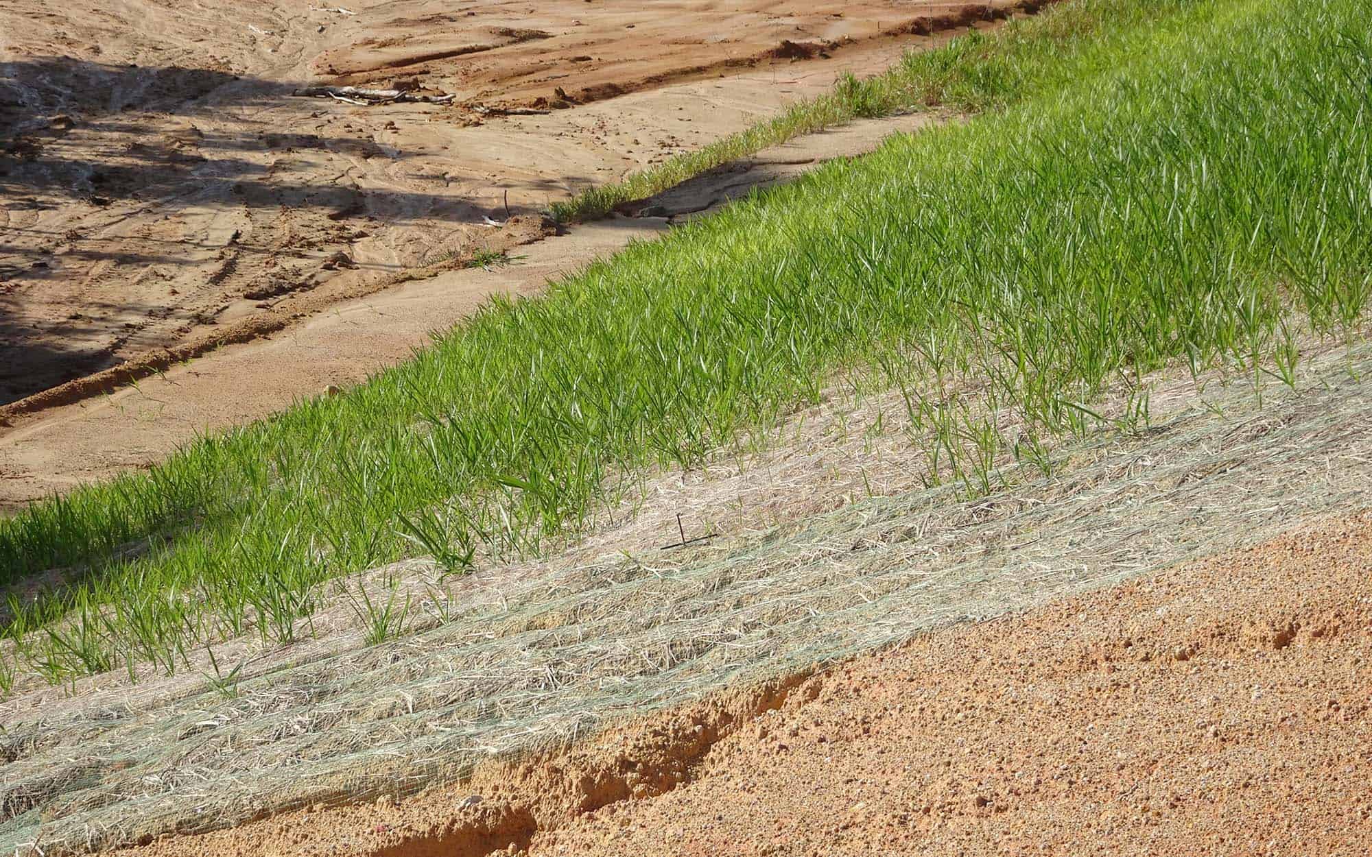 The Best Time To Hydroseed | Varsity, Inc.