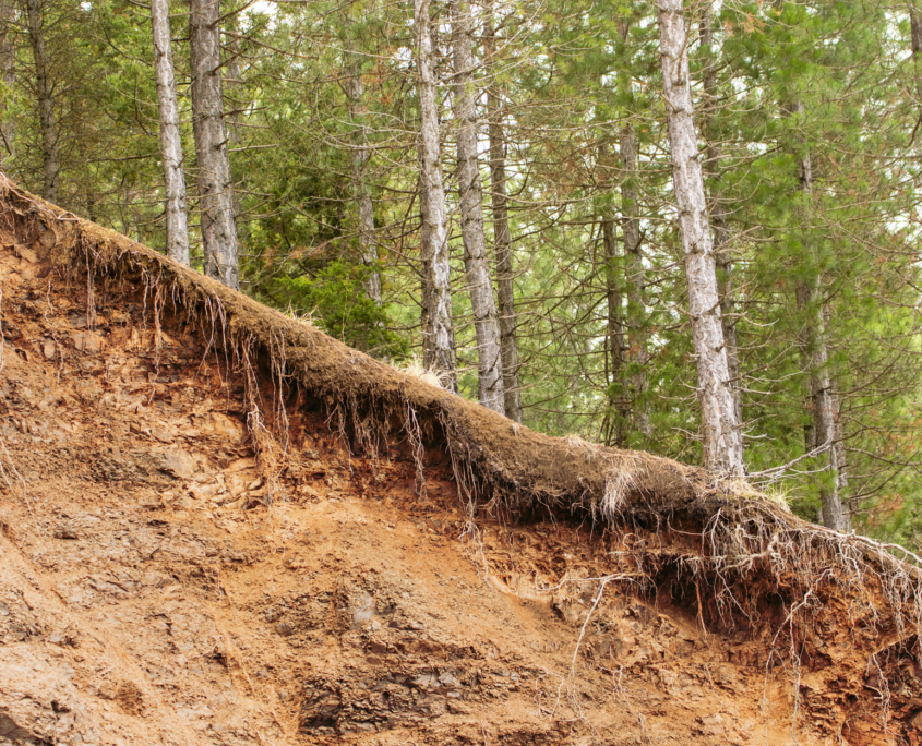 What Is Soil Infiltration Rate and How to Calculate It | Varsity